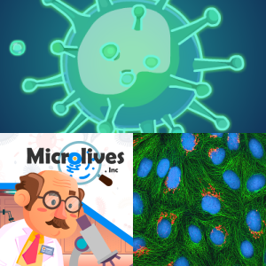 Free Lesson: Cell Theory 7.12F - Free Games and Assessments - Legends ...