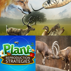 Lesson: Plant and Animal Reproduction Strategies 7.10 - Free ...
