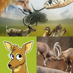 Practice: Animal Reproduction Strategies introduction - Free Games and ...