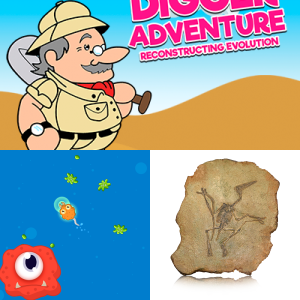 Game Based Learning: Reconstructing Evolutionary History Using Fossils ...