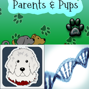 Practice: Genetics - Artificial Selection - Free Games and Assessments ...