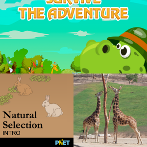 For Class: Natural Selection PhET Sim/Survive the Adventure - Free ...