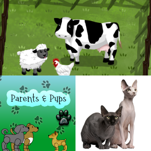 Teaching Plan: Artificial Selection via Selective Breeding MS-LS4.B-2 ...