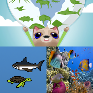 Lesson: Biodiversity and Health of Ecosystems 7.9 - Free Educational ...