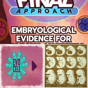 Student Lesson: Embryological Evidence for Common Ancestry MS-LS4.A-3 ...