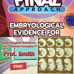 Practice: Embryological Evidence for Common Ancestry MS-LS4.A-3 - Free ...