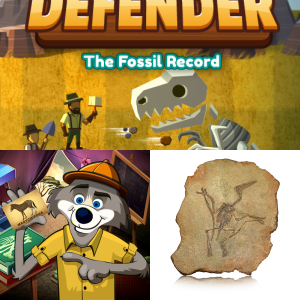 Teaching Plan: Fossil Evidence and Evolution SC.7.L.15.1 - Free ...