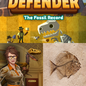 For Class: Fossil Record 6.ESS1.4-1a - Free Games and Assessments ...