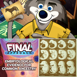 Lesson: Embryological Evidence for Common Ancestry MS.LS4A.c - Free ...