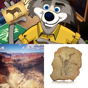 Teaching Plan: Reconstructing Evolutionary History Using Fossils MS-LS4 ...