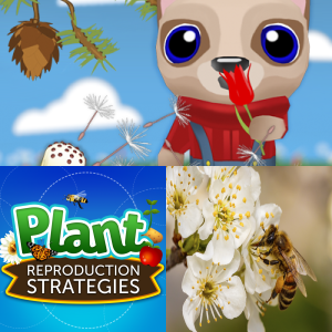 Game Based Learning: LOL: Plant Reproduction Strategies - Free Games ...