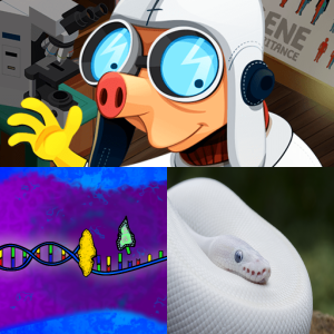 Student Lesson: Gene Mutations MS-LS3.B-2 - Free Educational Games ...