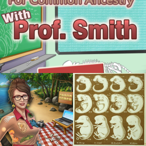 Free Lesson: Embryological Evidence for Common Ancestry MS-LS4.A-3 ...