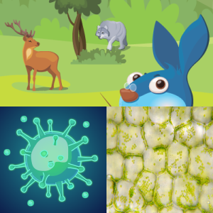 Game Based Learning: Plant and Animal Cells LS.2c - Free Educational ...