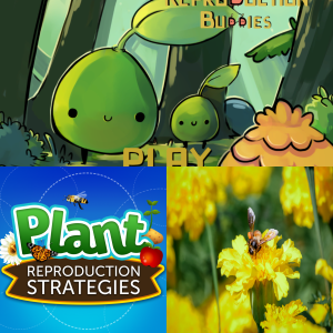 Free Educational Games: Living Organisms 6.L.4A - Free Educational ...