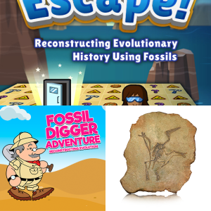 Teaching Plan: Reconstructing Evolutionary History Using Fossils MS-LS4 ...