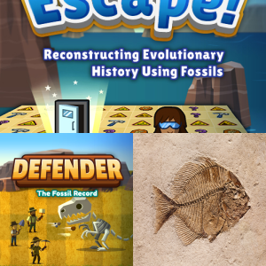 Free Lesson: Reconstructing Life's History Using Fossils S7L5.c - Free ...