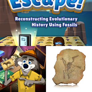 Student Lesson: Reconstructing Evolutionary History Using Fossils MS ...