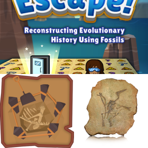 Game Based Learning: Fossil Evidence and Evolution SC.7.L.15.1 - Free ...