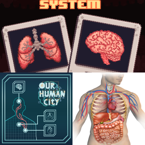 Student Lesson: Multicellular Organisms and their Subsystems MS-LS1.A-3 ...