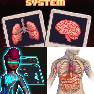 Lesson: Human Organs Functions SC.5.L.14.1 - Free Educational Games ...