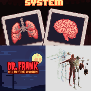 Free Lesson: Functions and Interactions of Humans' Body Systems SC.6.L ...