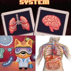 Free Homework Prep: Multicellular Organisms and their Subsystems MS-LS1 ...