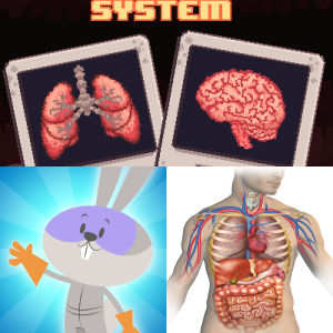 For Class: Organ System Games - Free Games and Assessments - Legends of ...