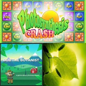 Worksheet: Photosynthesis 7.5A - Free Educational Games - Legends of ...