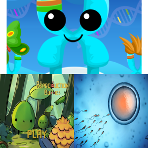 Free Educational Games: Sexual Reproduction and Genetic Variation S7L3 ...