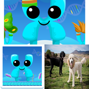 Lesson: Genes and Chromosomes 7.L.4A - Free Educational Games - Legends ...