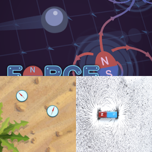 Practice: Magnetic Force Fields - Free Games and Assessments - Legends ...