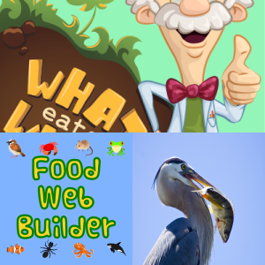 Worksheet: Food Webs ES-LS2.A-1a - Free Games and Assessments - Legends ...