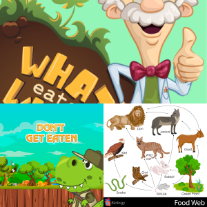 Worksheet: Assignment - Food Webs in an Ecosystem - Free Games and ...