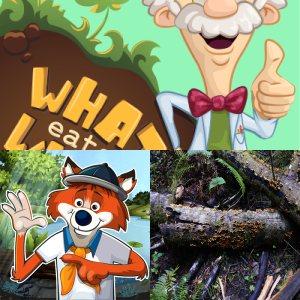 Practice: Cycles of Matter and Energy Transfer in Ecosystems ES-LS2.B-1 ...