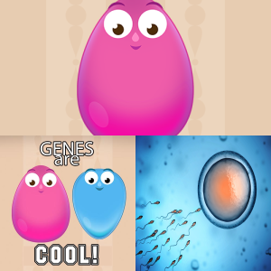 Practice: Sexual Reproduction and Genetic Variation 7.14B - Free Games ...