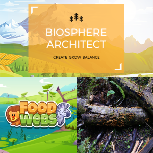 Worksheet: TN 4.LS2.2 - Cycles of Matter and Energy Transfer in ...