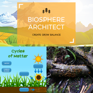 Free Educational Games: Cycles of Matter and Energy Transfer in ...