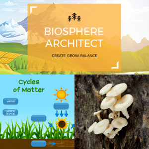 Lesson: Movement Of Matter Among Living Things And The Environment 5.3. ...