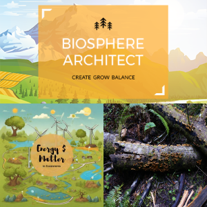 Student Lesson: Biosphere Architect Playlist - Free Games, Assessments ...