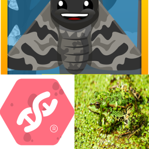 Free Homework Prep: Adaptation MS-LS4.C-1 - Free Games and Assessments ...