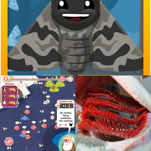 Free Educational Games: Adaptation of Internal Structures 7.12A - Free ...