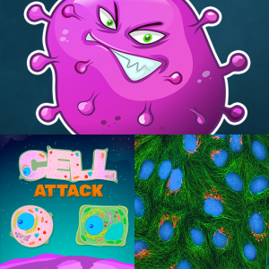 Free Educational Games: Parts of the Cell S7L2.a - Free Games and ...