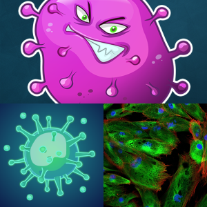 Worksheet: Cells and Life MS-LS1.A-1 - Free Games and Assessments ...