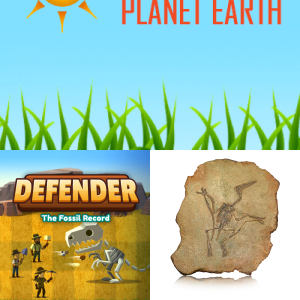 Worksheet: Fossils 5.9D - Free Games and Assessments - Legends of Learning