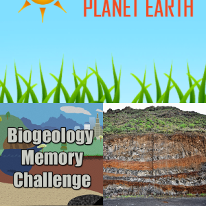 Game Based Learning: Formation of Sedimentary Rocks and Fossil Fuels 5 ...