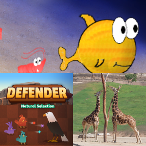 Worksheet: Natural Selection and Selective Breeding 7.11C - Free Games ...