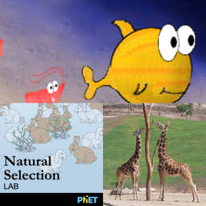 For Class: Natural Selection 8.LS4.4 - Free Games and Simulations ...