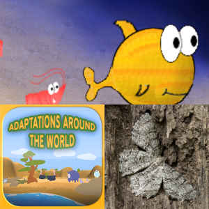 Practice: Adaptation ES-LS4.C-1 - Free Educational Games - Legends of ...