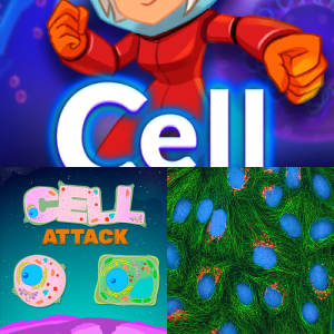 Practice: Parts of the Cell 7.12D - Free Educational Games - Legends of ...